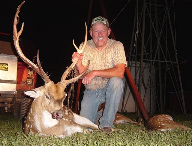 A Really Big Axis Ram | Outdoor Odyssey